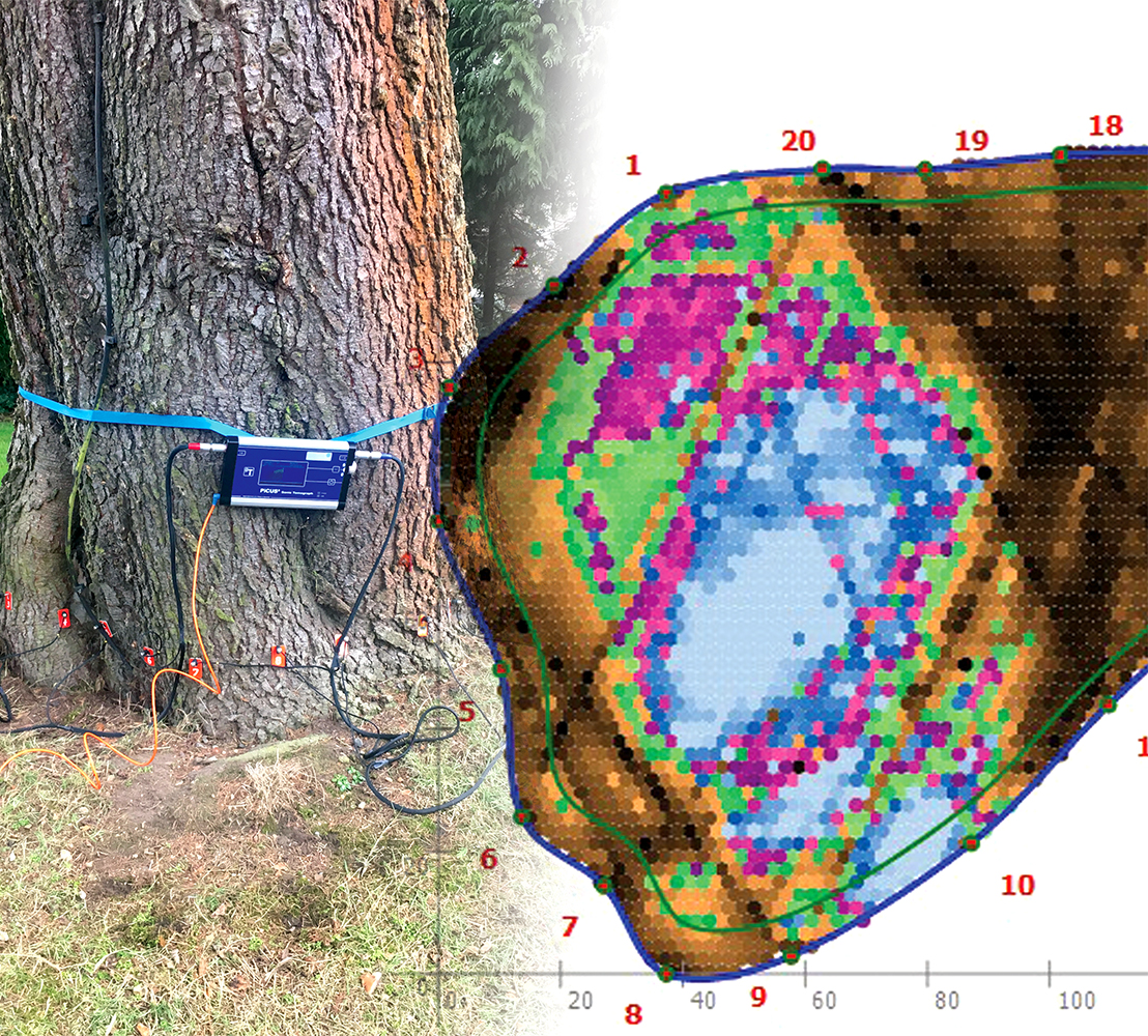 4. Sonic Tomograph - NPC Tree Surgery