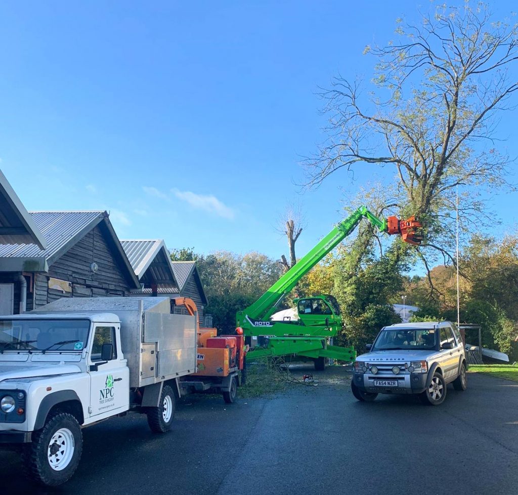 Home - NPC Tree Surgery Specialists in Professional Tree Management